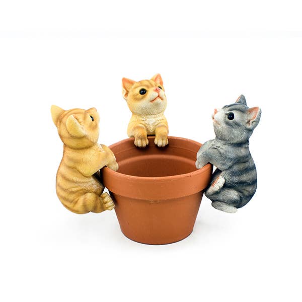 Cat Jumbo Pot Hanger – Ruby Bloom Floral + Gifts