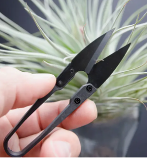 Bonsai Scissors – Ruby Bloom Floral + Gifts